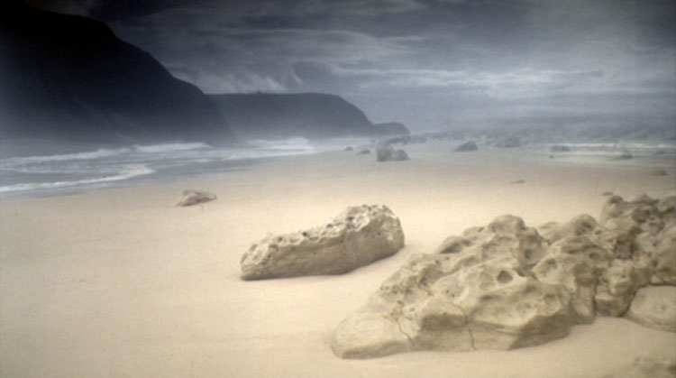 The Seventh Continent (Michael Haneke) and the Freudian Death Drive ...