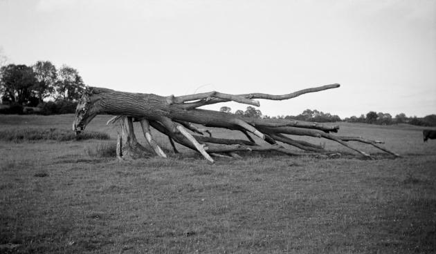 Responses: Paul Nash’s Monster Field – Celluloid Wicker Man