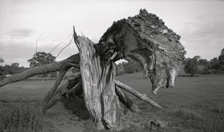 Responses: Paul Nash’s Monster Field – Celluloid Wicker Man