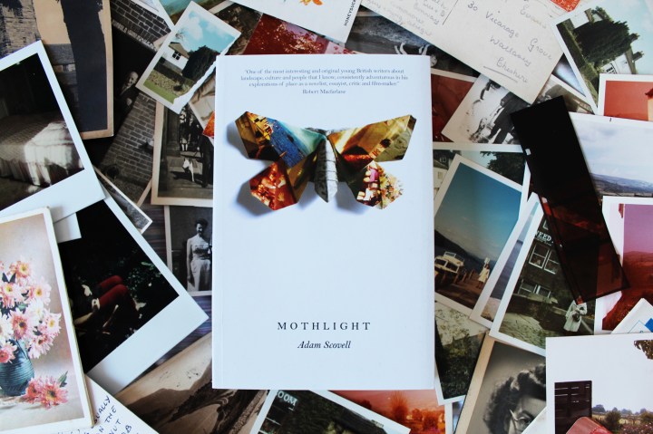 Mothlight – Celluloid Wicker Man