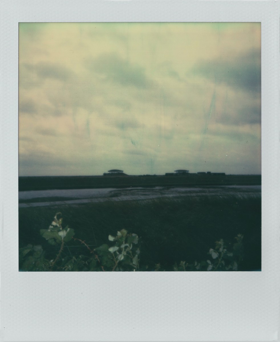 Short Film – Ness (Robert Macfarlane and Stanley Donwood) – Celluloid ...